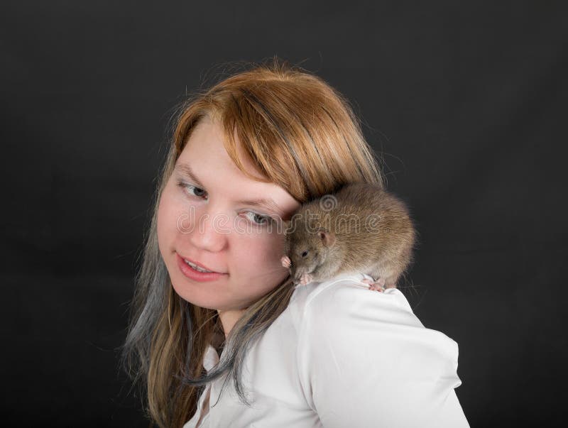 Rat on his shoulder stock photo. Image of domestic, black - 62995424