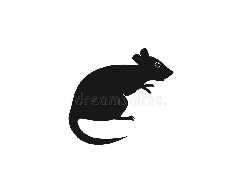 Rat Icon Logo Design Vector Illustration Stock Vector - Illustration of ...