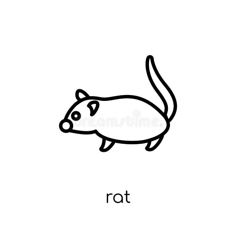 Rat Icon. Trendy Modern Flat Linear Vector Rat Icon on White Background ...