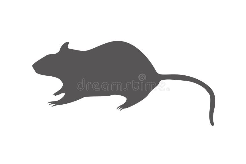 Rat icon, vector design stock illustration. Illustration of logo ...