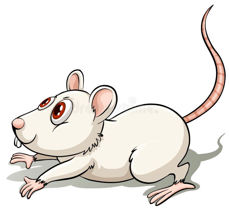Jumping rat stock illustration. Illustration of wander - 14518093