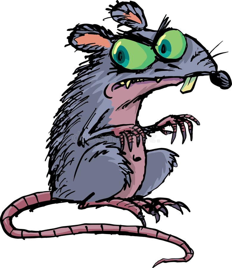 Rat Looking at Us Threateningly Stock Illustration - Illustration of ...