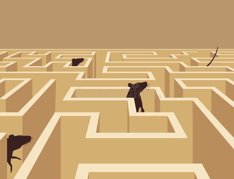 Rat maze stock vector. Illustration of puzzle, vector - 40038259