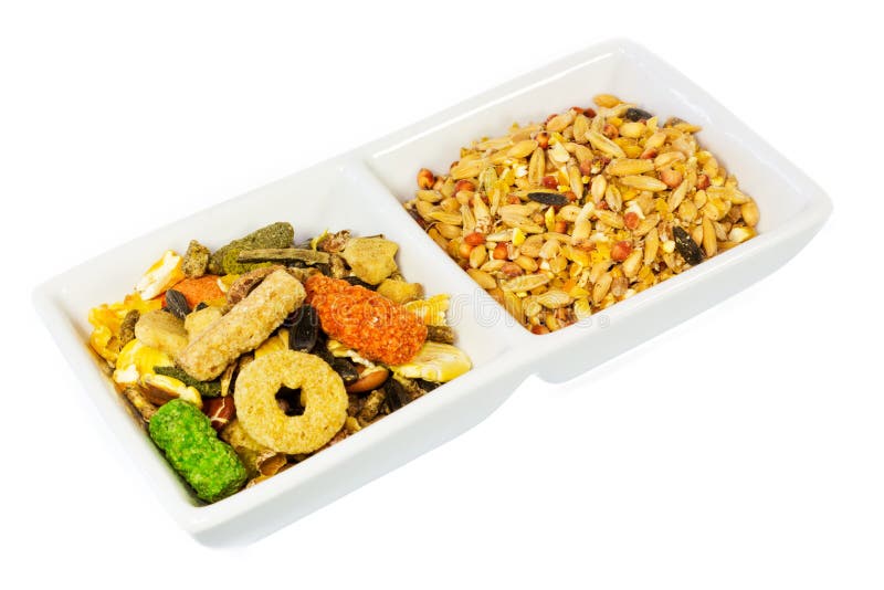 Rat and mouse food stock photo. Image of cereal, biscuit - 18618516