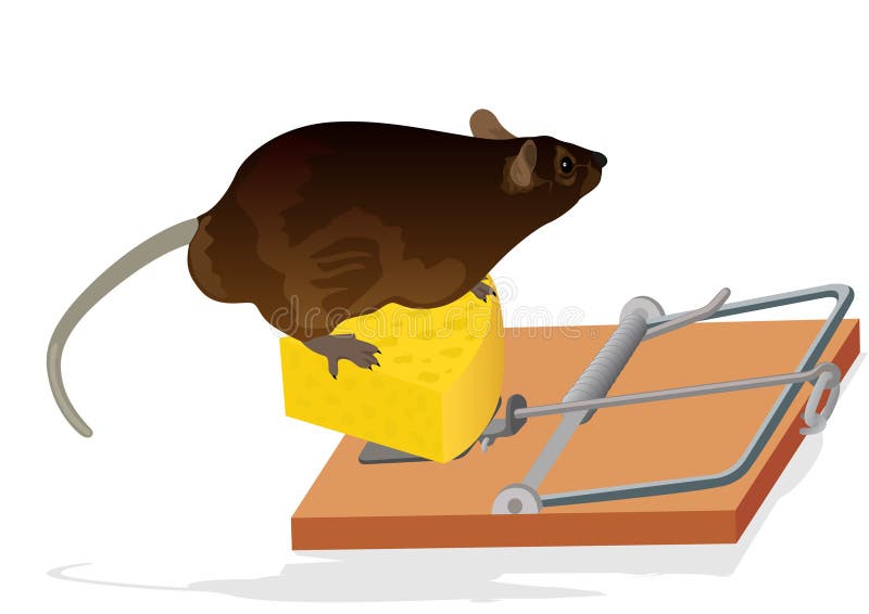 Rat Trap stock illustration. Illustration of bait, inquisitive - 6777100