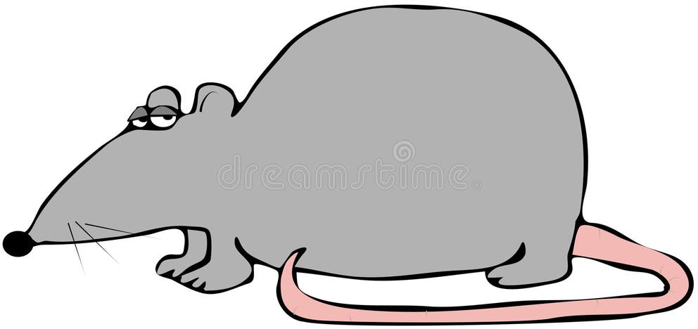 Rat Pink Tail Stock Illustrations – 687 Rat Pink Tail Stock ...