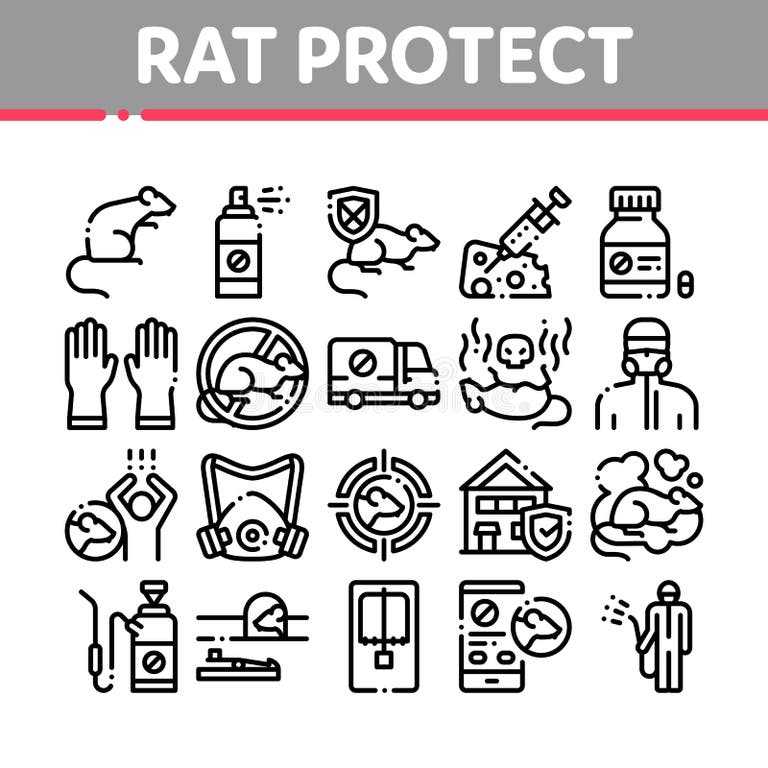Rat Protect Collection Elements Icons Set Vector Stock Vector ...