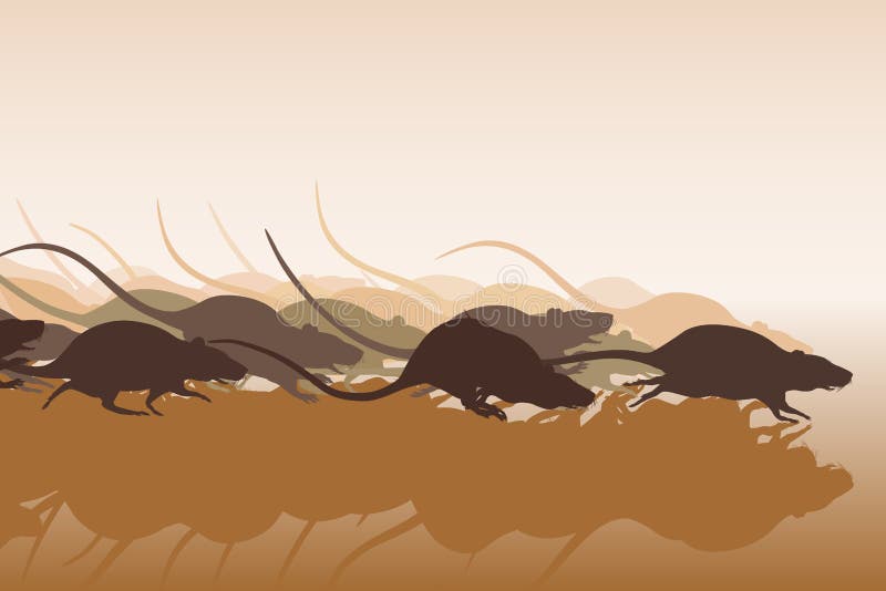 Rat Stock Illustrations – 62,343 Rat Stock Illustrations, Vectors ...