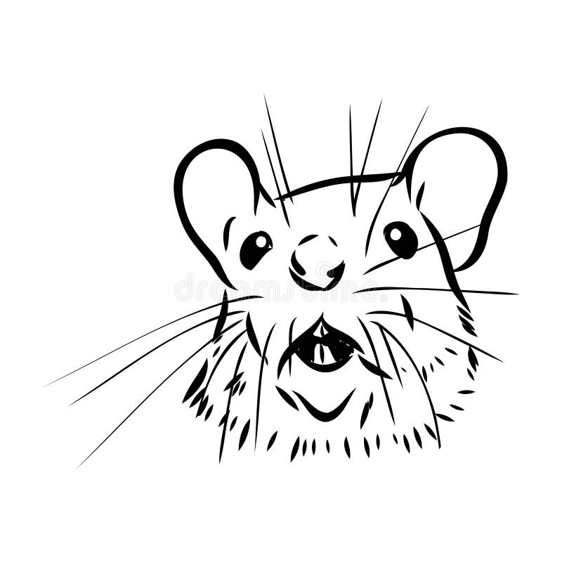 Rat Sketch Drawn by Hand. Black and White Vector Illustration Stock ...