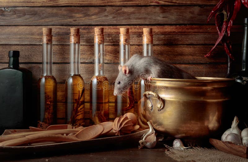 Rat on a Table with Old Kitchen Utensils Stock Image - Image of rustic ...