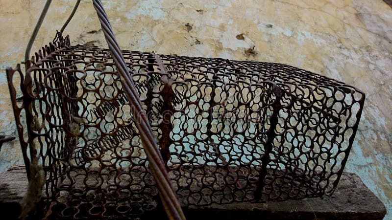 Rat Traps and Rusted Iron Wire Stock Image - Image of wire, metal ...