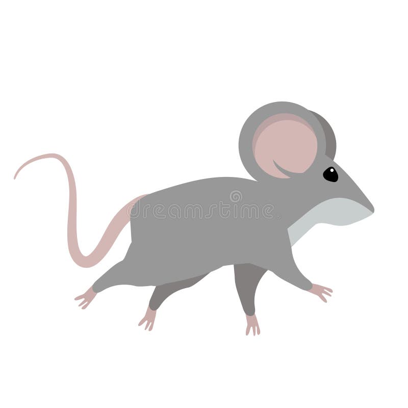 Rat Vector Drawing Icon Sign Stock Vector - Illustration of character ...