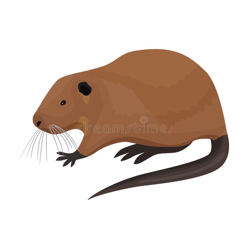 Sleeping Rat Cartoon Stock Illustrations – 415 Sleeping Rat Cartoon ...