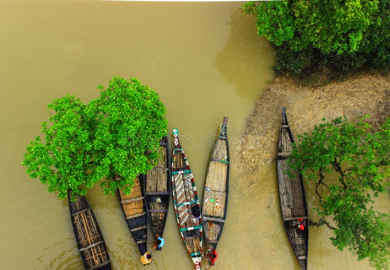 Ratargul editorial stock image. Image of aerial, miuddy - 98151494