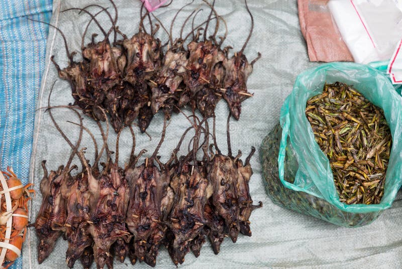 Ratas Asadas En El Mercado Tradicional De Tomohon Imagen de archivo ...