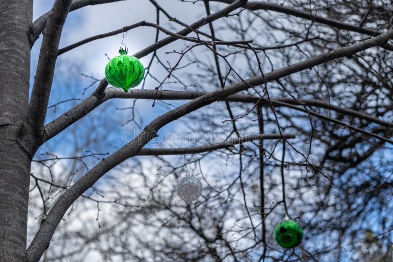 3 Rather Sad Looking Christmas Tree Ornaments, Hanging from the ...
