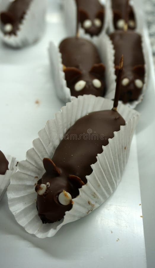 Rato do chocolate imagem de stock. Imagem de criança - 17537485