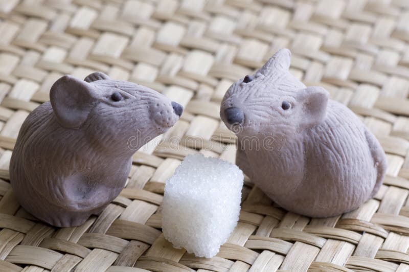 Rato do chocolate foto de stock. Imagem de cacau, framboesa - 14576668