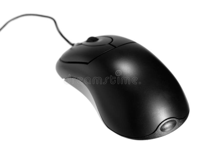 Rato Do Computador No Fundo Branco Foto de Stock - Imagem de rato ...