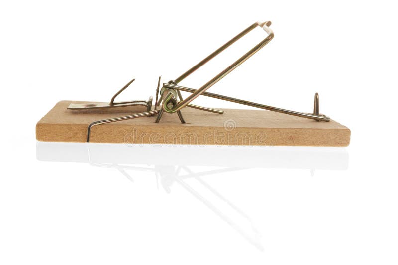 4,746 Ratonera Fotos de stock - Fotos libres de regalías de Dreamstime