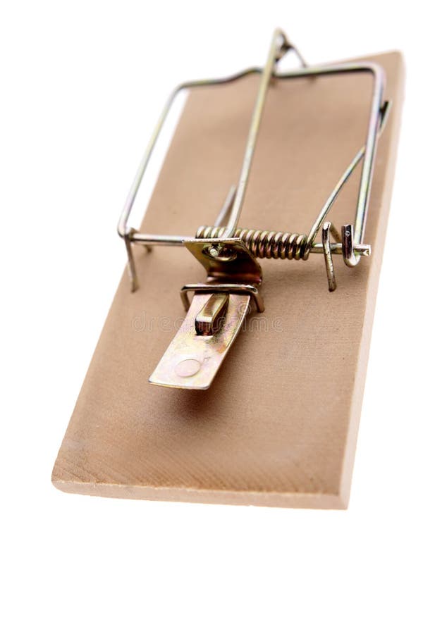 Ratonera foto de archivo. Imagen de estudio, blanco, aislado - 4753744