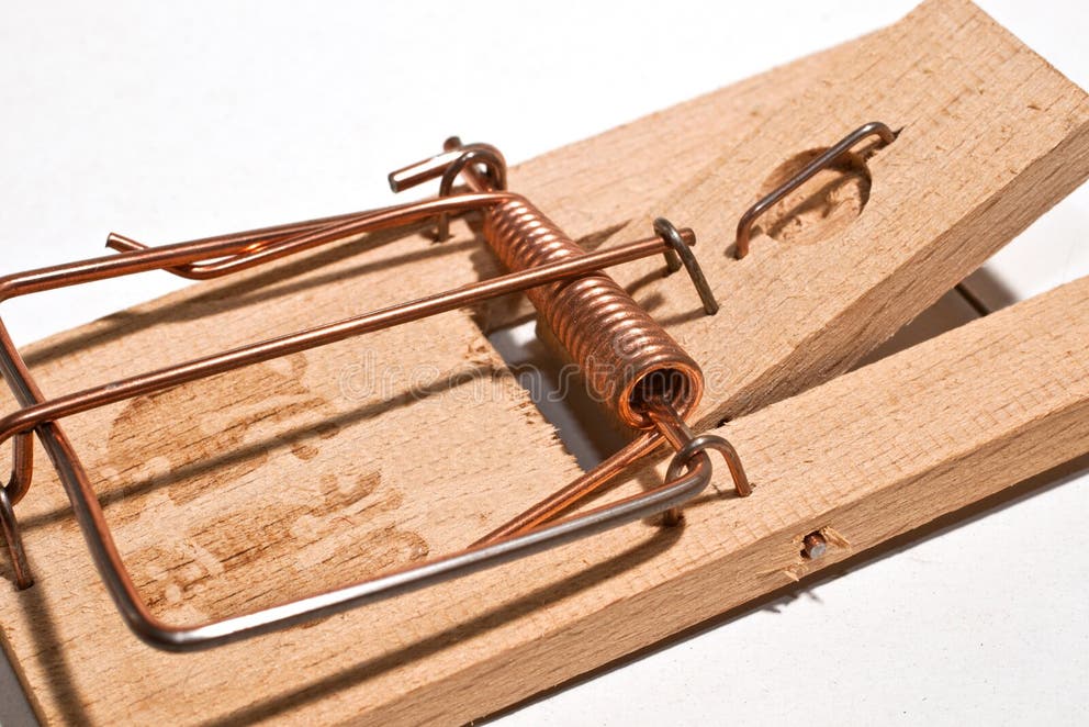 Ratonera imagen de archivo. Imagen de tiente, roedor - 39160553