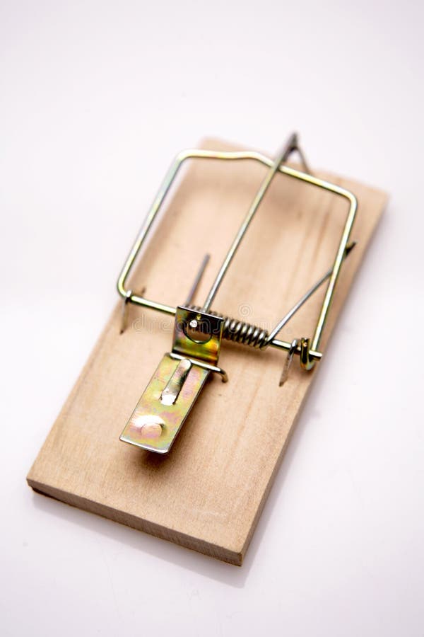 Ratonera foto de archivo. Imagen de estudio, blanco, aislado - 4753744