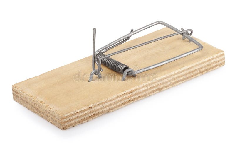 Ratonera Aislada En El Fondo Blanco Foto de archivo - Imagen de roedor ...