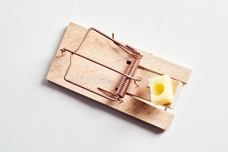 Ratonera De Madera Con Queso, Desde Arriba Imagen de archivo - Imagen ...