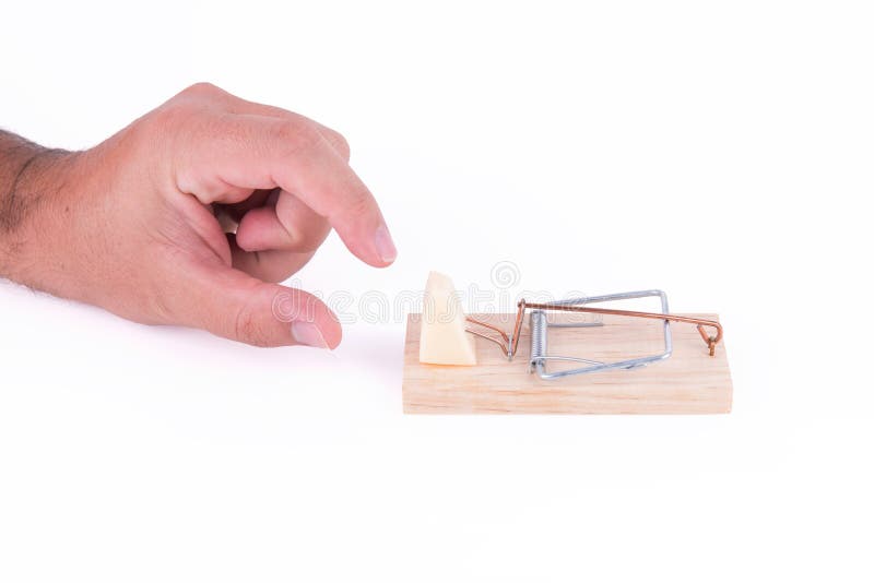 Ratonera De Madera Con Un Queso Foto de archivo - Imagen de concepto ...