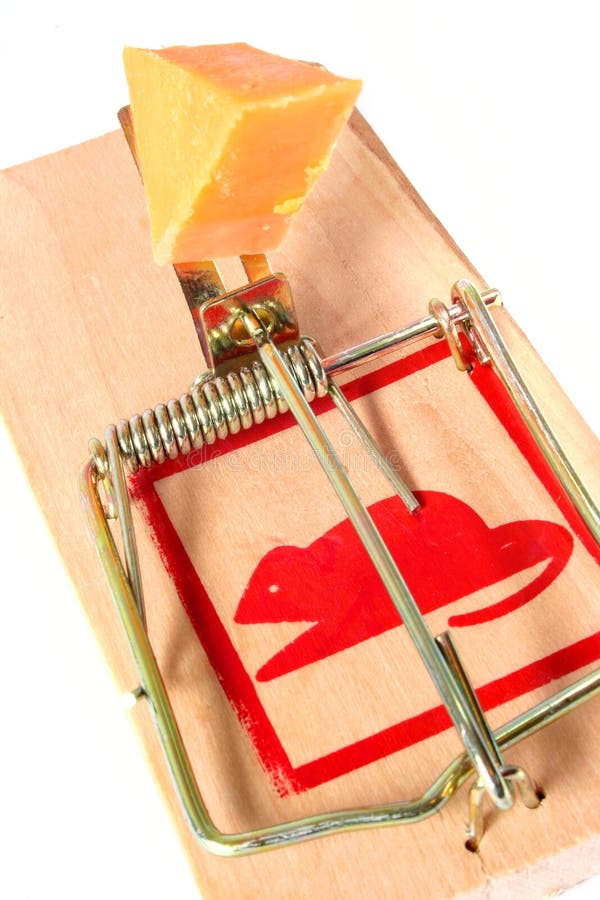 Ratonera hostigada foto de archivo. Imagen de roedor, peligro - 804668