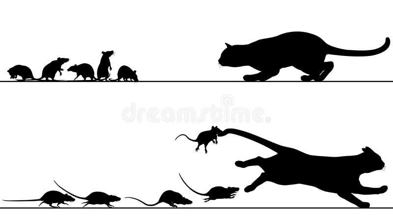 Rats chasing cat stock vector. Illustration of unexpected - 30512739