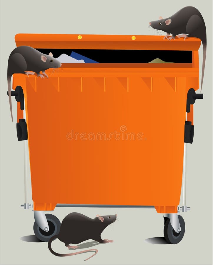 Rats in the rubbish dump stock vector. Illustration of dustbin - 29594077