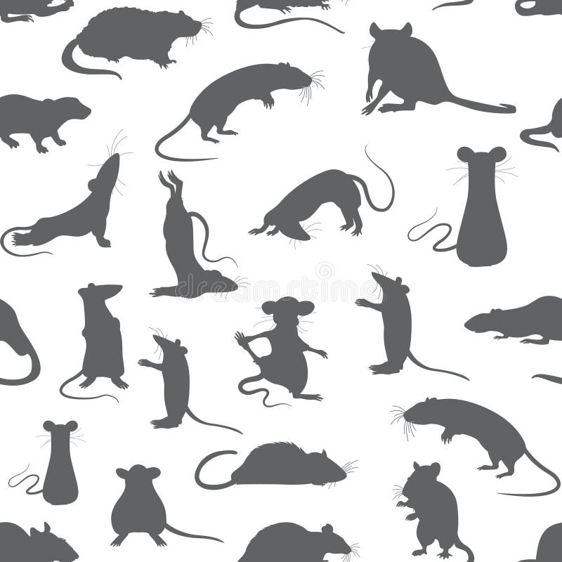 Rats Seamless Pattern. Rat Poses and Exercises Stock Vector ...