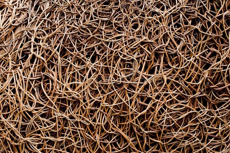 Rattan Chair and Rattan Coffee Table with Green Trees at Outdoor Stock ...