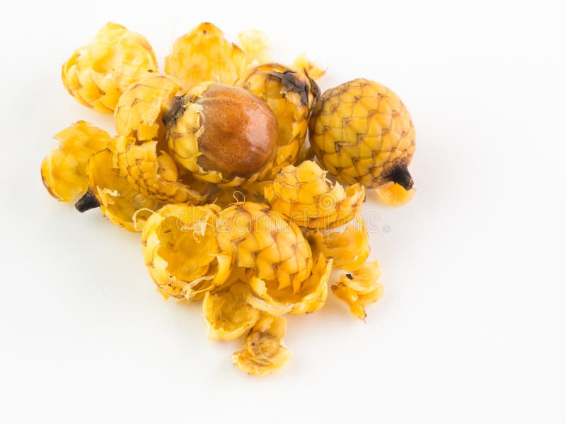 Rattan Fruit Isolated stock image. Image of ripe, cluster - 33415749