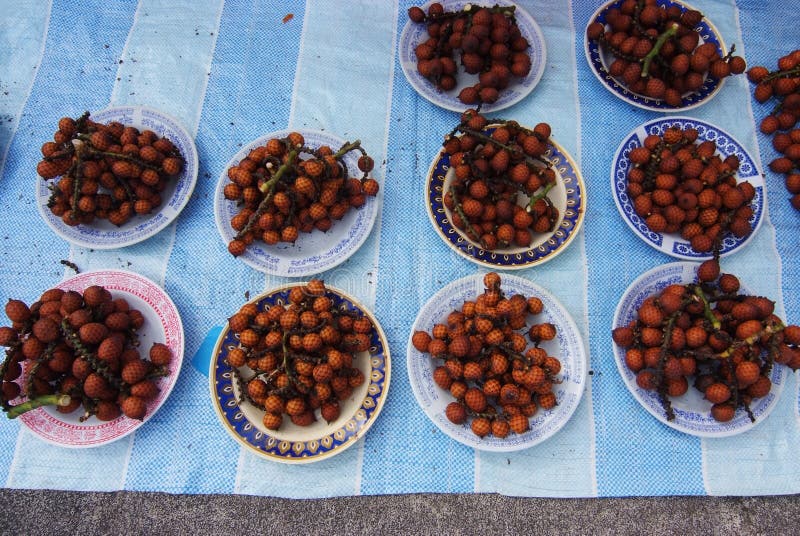 Rattan palm seeds for sale stock image. Image of closeup - 314135493