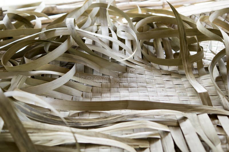 Rattan Palm Weaving stock image. Image of interlacing - 51745873