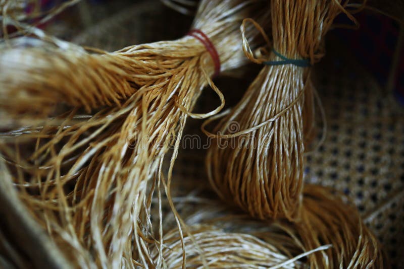 Rattan Strips for Make Baskets, Woven from Willow Twigs. Typically Made ...