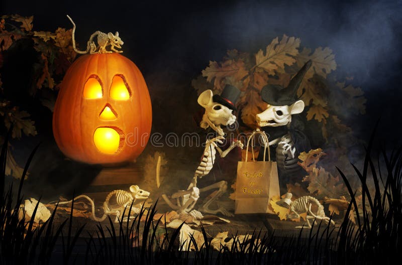 Ratti Dello Scheletro Di Halloween Fotografia Stock - Immagine di ...