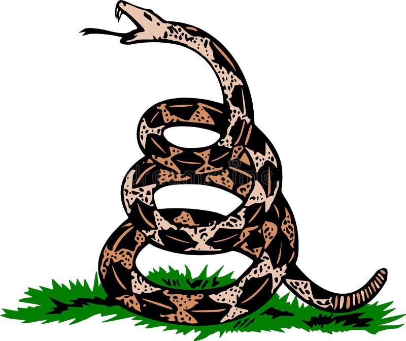 Striking Rattlesnake Drawings