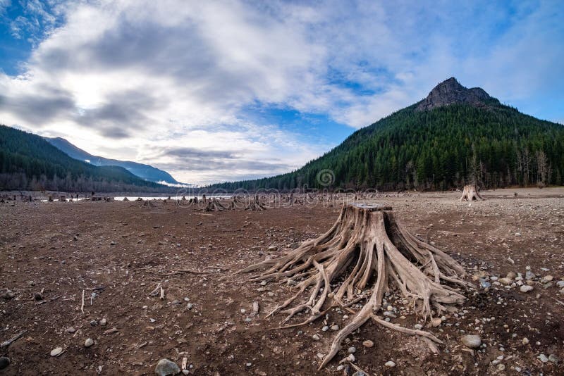 Rattlesnake Lake with Tree Stumps in Seattle Stock Image - Image of ...