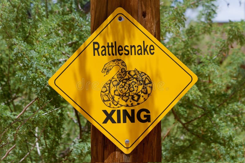 Rattlesnake sign stock image. Image of rattlesnake, communications ...
