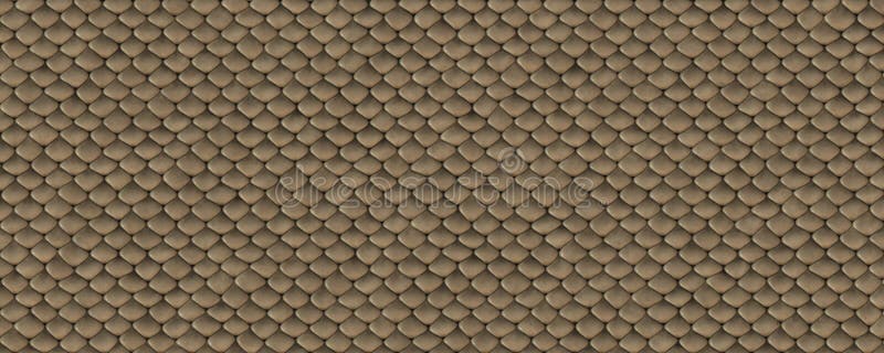 Rattlesnake Skin Texture Background Stock Illustration - Illustration ...