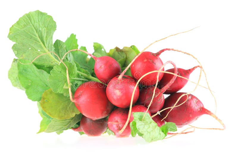 Ravanelli immagine stock. Immagine di spuntino, dieta - 10407197