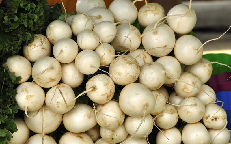 Ravanelli bianchi fotografia stock. Immagine di ravanelli - 41853442