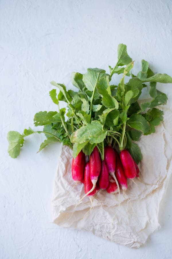 Un Mazzo Di Ravanelli Lunghi Fotografia Stock - Immagine di organico ...
