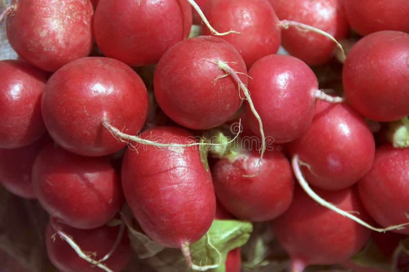 Ravanello fotografia stock. Immagine di consumo, organico - 11541780
