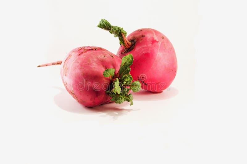 Ravanello immagine stock. Immagine di isolato, freschezza - 12796261