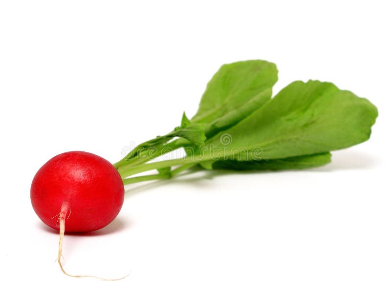Ravanello fotografia stock. Immagine di croccante, domestico - 232944